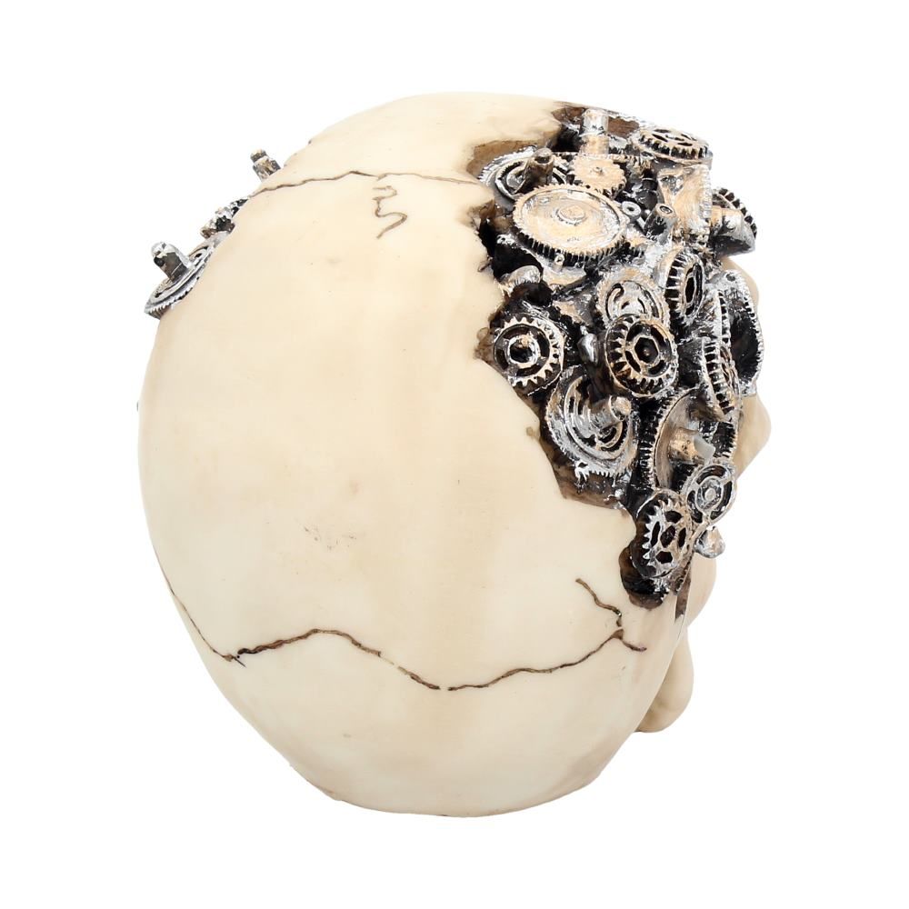Nemesis Now Clockwork Cranium Skull | Fanboy Collectibles