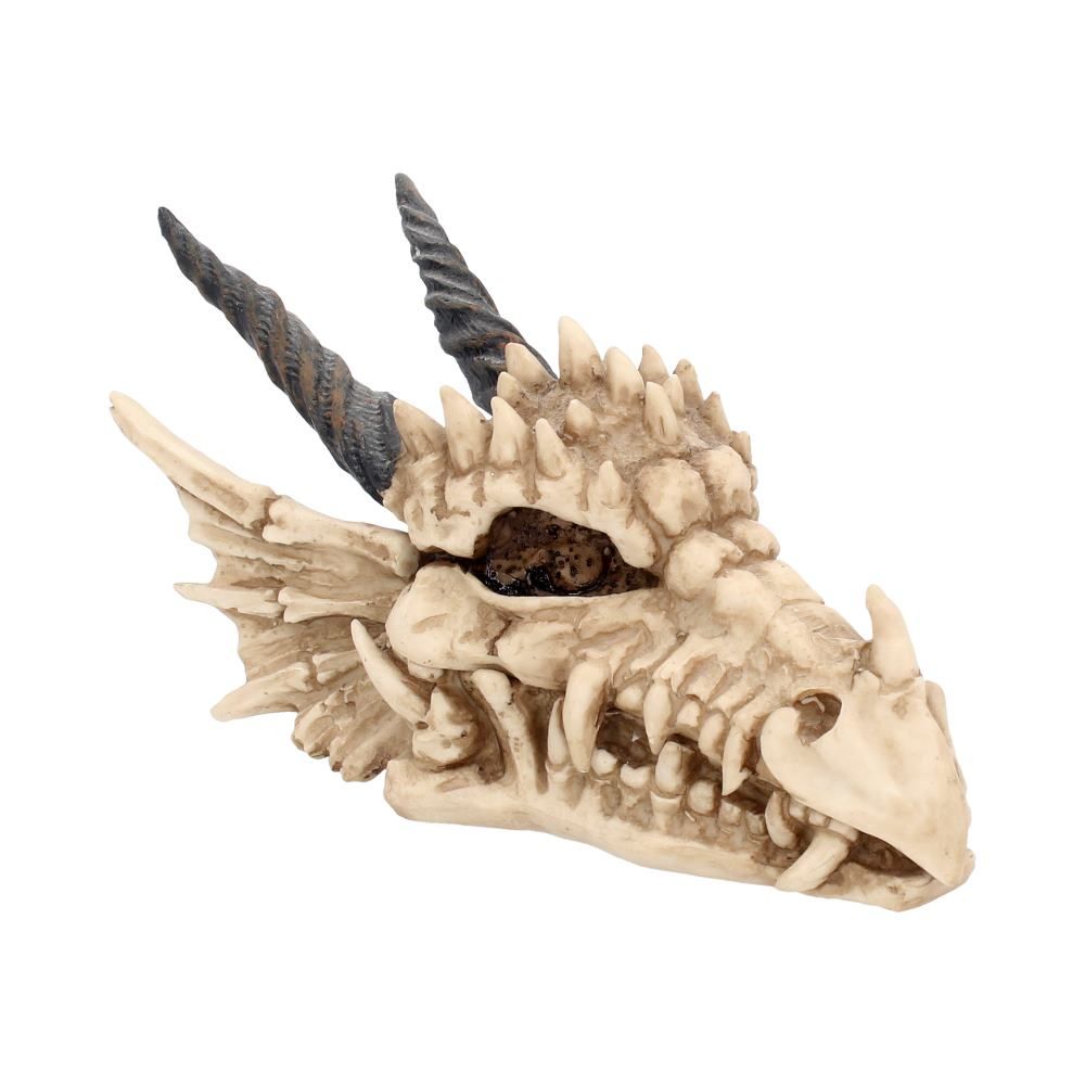 Nemesis Now Dragon Skull Box | Fanboy Collectibles