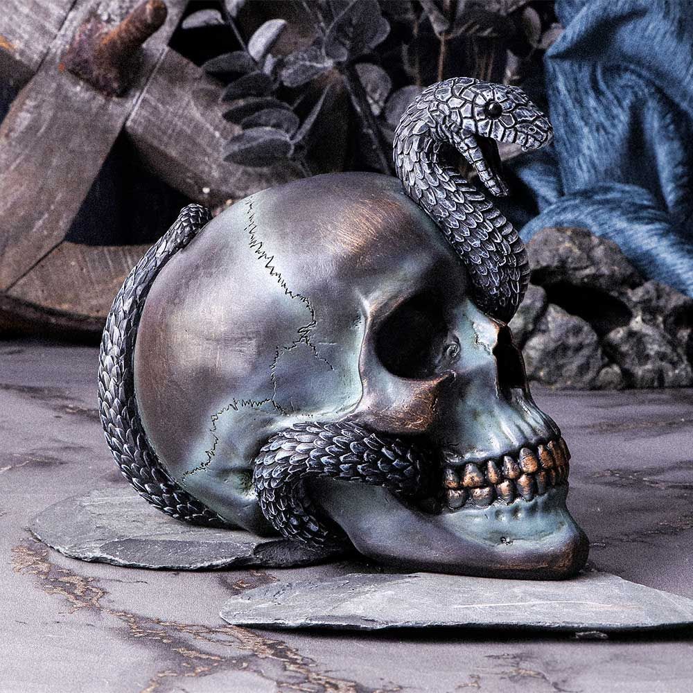Nemesis Now Serpentine Fate Gothic Snake Skull | Fanboy Collectibles
